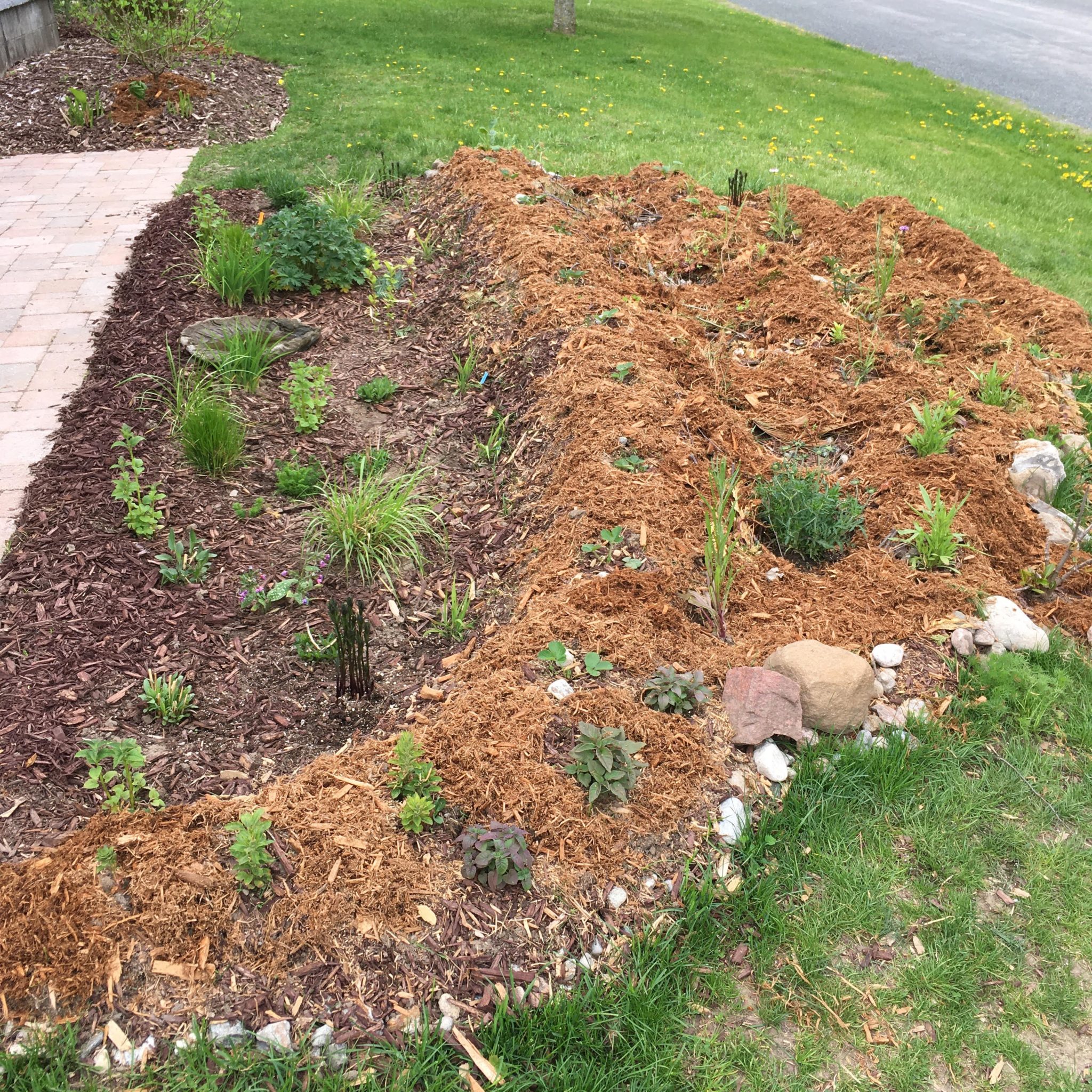 Bermaculture: Gardening on a Sunny Slope with a Permaculture Twist